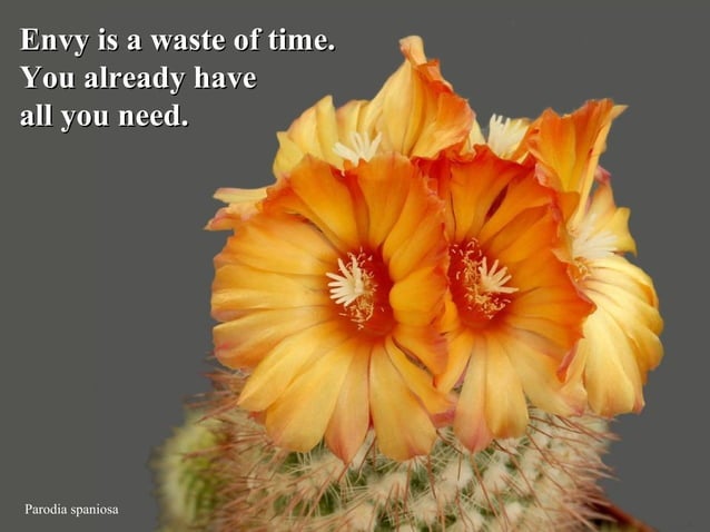 Tips for better life | PPT