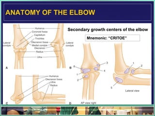 Tips for interpreting x ray in trauma | PDF