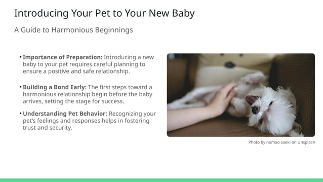 Tips for Introducing Your Pet to Your New Baby | PDF
