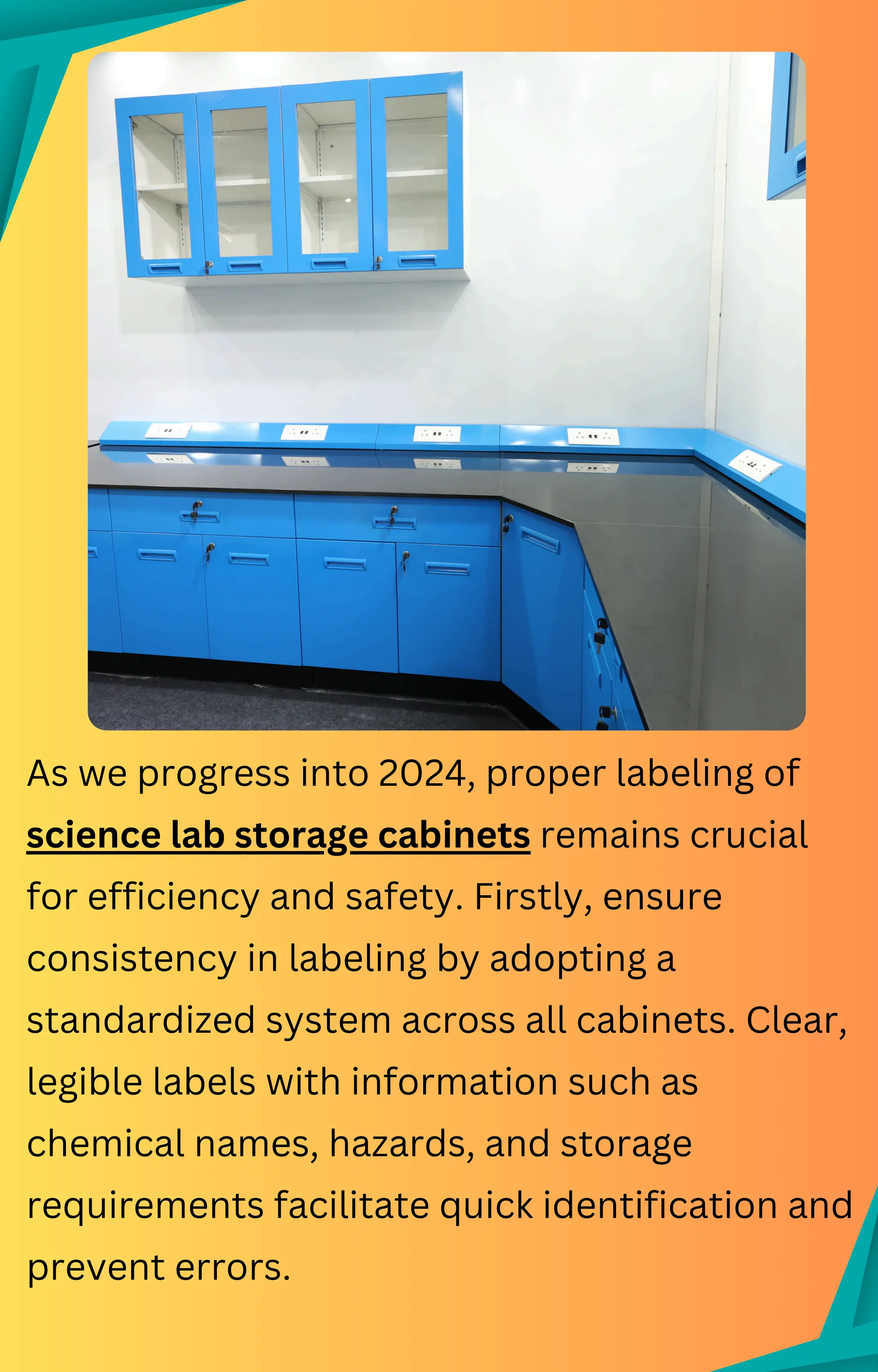 Tips for Properly Labeling Science Lab Storage Cabinets in 2024 | PDF