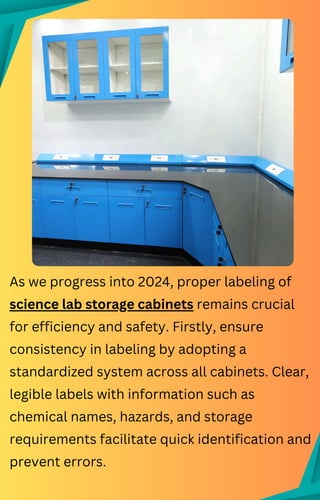 Tips for Properly Labeling Science Lab Storage Cabinets in 2024 | PDF