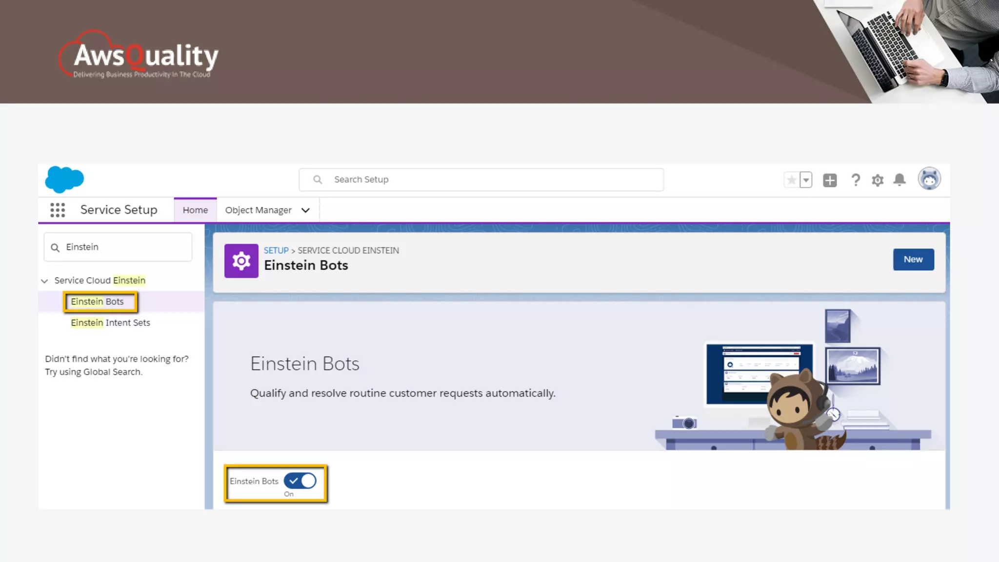 Tips for salesforce einstein bot configuration ! | PDF | Computing | Technology & Computing