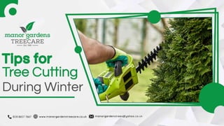 Tips for Tree Cutting During Winter.pptx