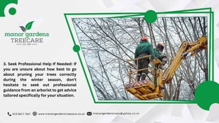 Tips for Tree Cutting During Winter.pptx