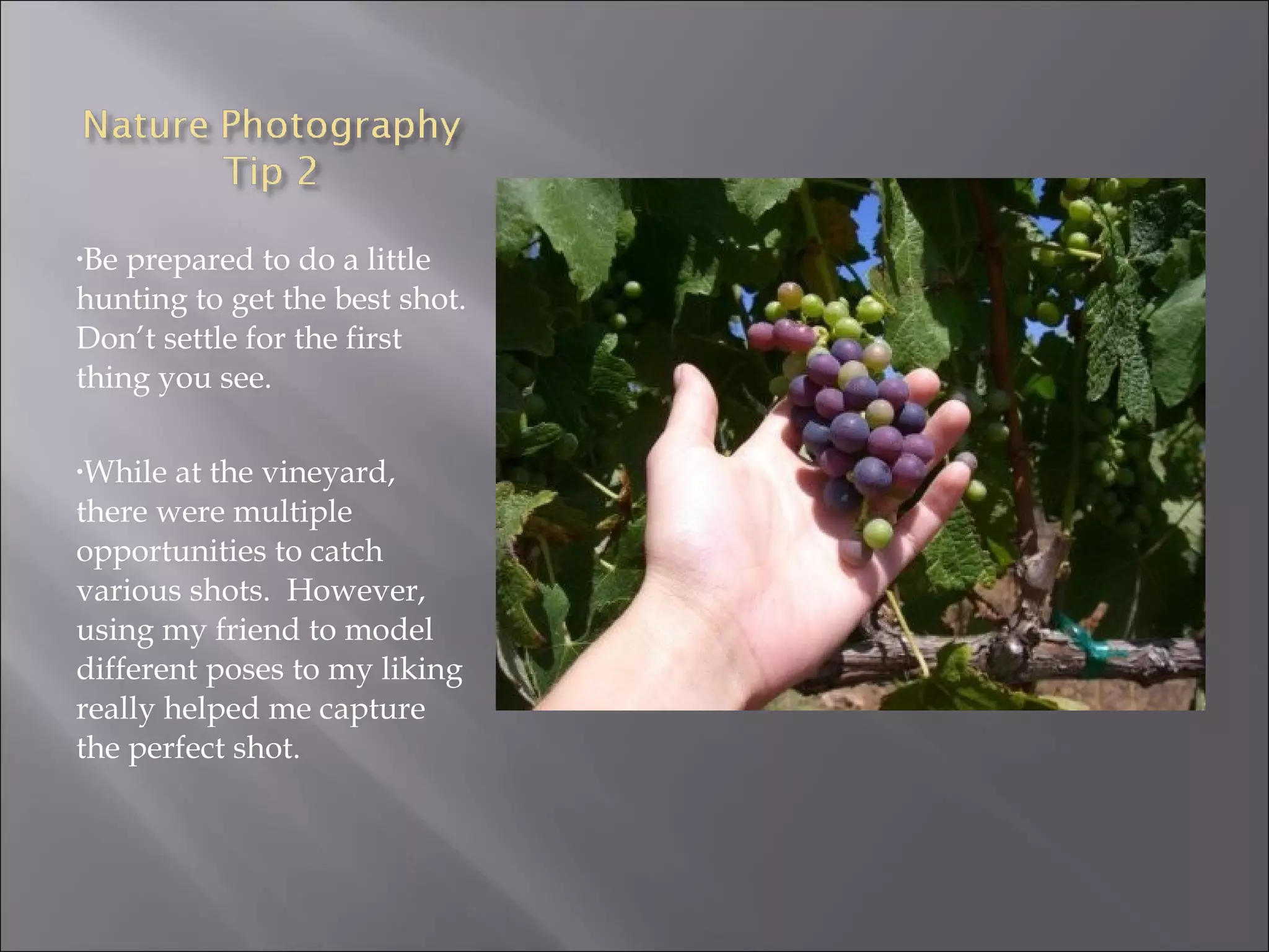 black & white ppt | PPT