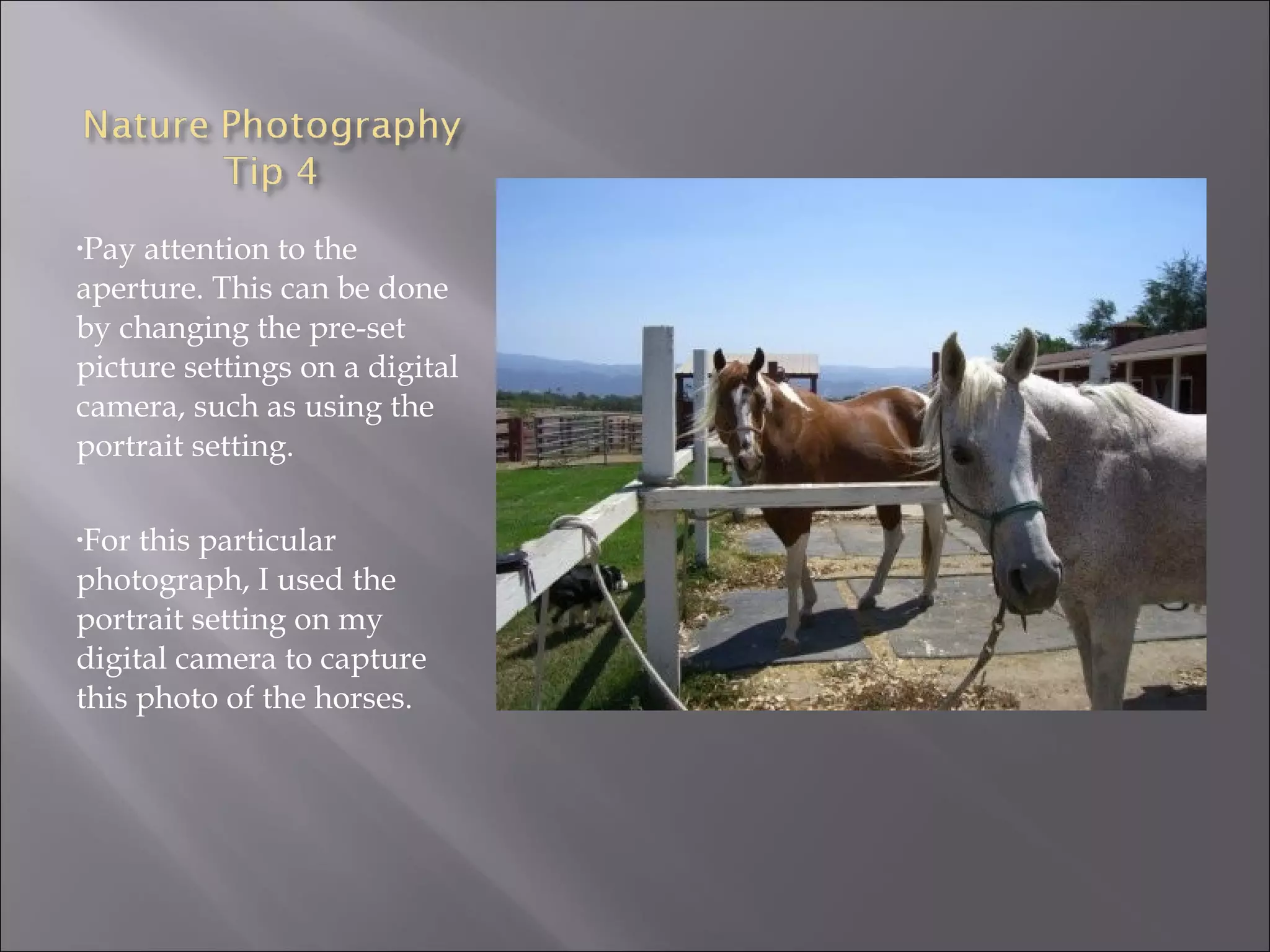 black & white ppt | PPT