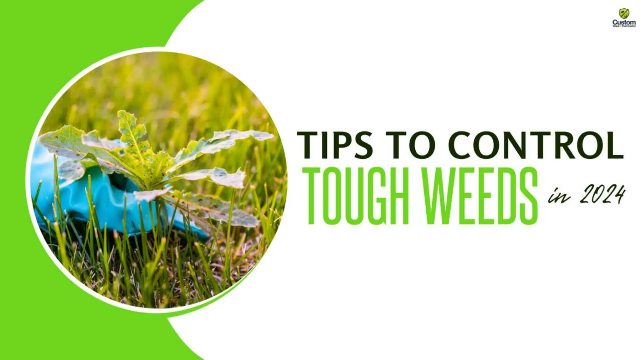 Tips to Control Tough Weeds in 2024 - Custom Weed and Pest Control | PPTX