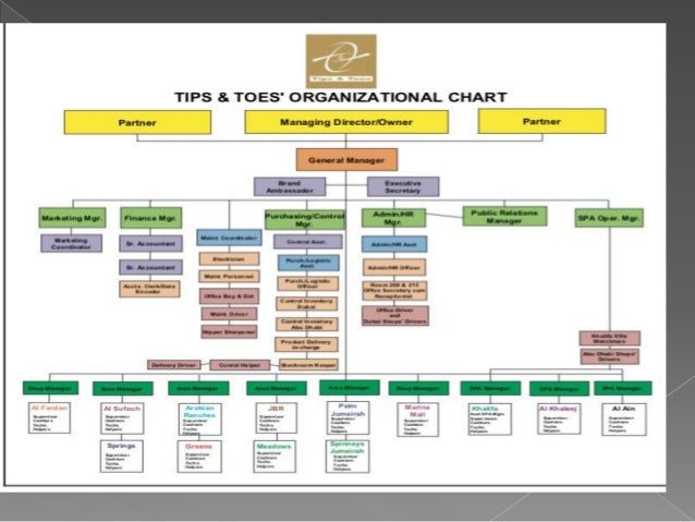 TIPS & TOES: TOTAL REWARD STRATEGY FUELS GROWTH