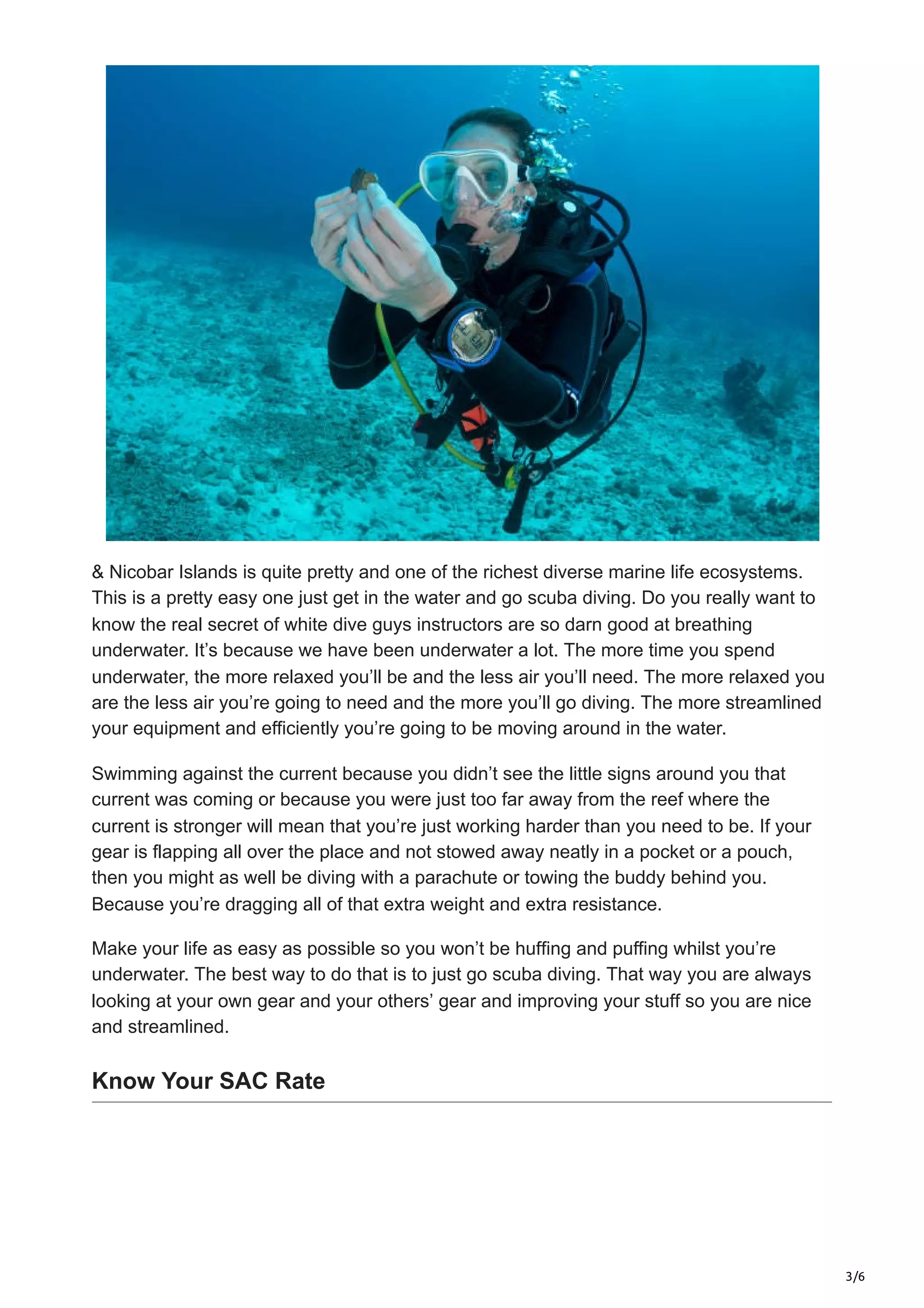 Essential Tips to Improve Your Breathing Rate in Scuba Diving | PDF ...