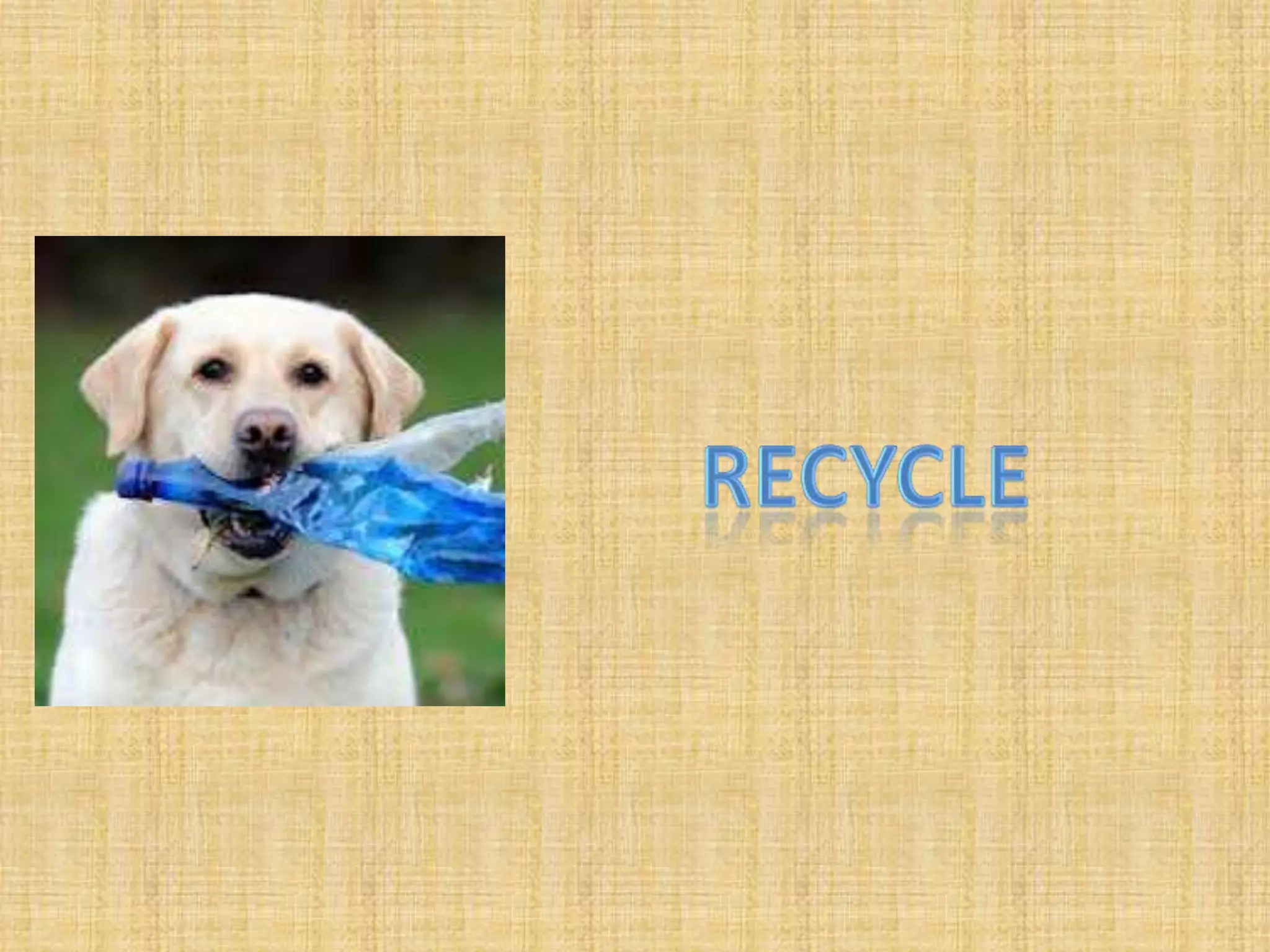 Tips to make a better world | PPTX