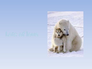 Tips to make a better world | PPTX