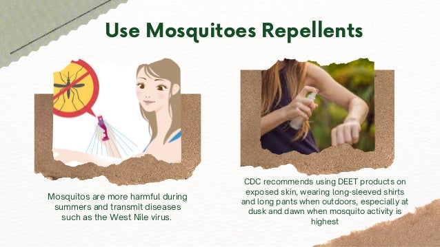 Tips To Protect Yourself from Viruses and Bacteria This Summer | PDF ...