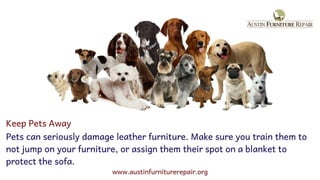 Tips To Take Care Of Leather Sofas Ppt