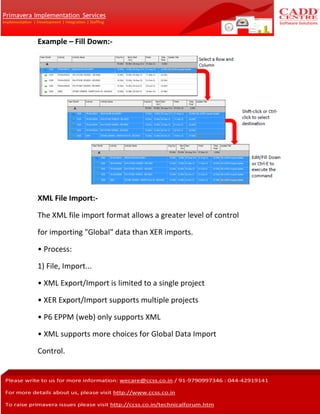 Oracle Primavera P6 PRO R8 Tips & tricks | PDF