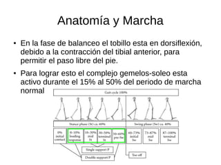 Marcha en punta de pies idiopatica | PDF
