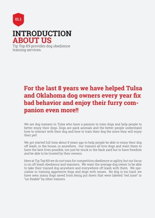 Tiptop K9 Brand Book Design | PDF