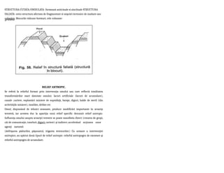 Tipuri-de-Relief.wfnvdojnklbmòbm lmvbmfm | PPT