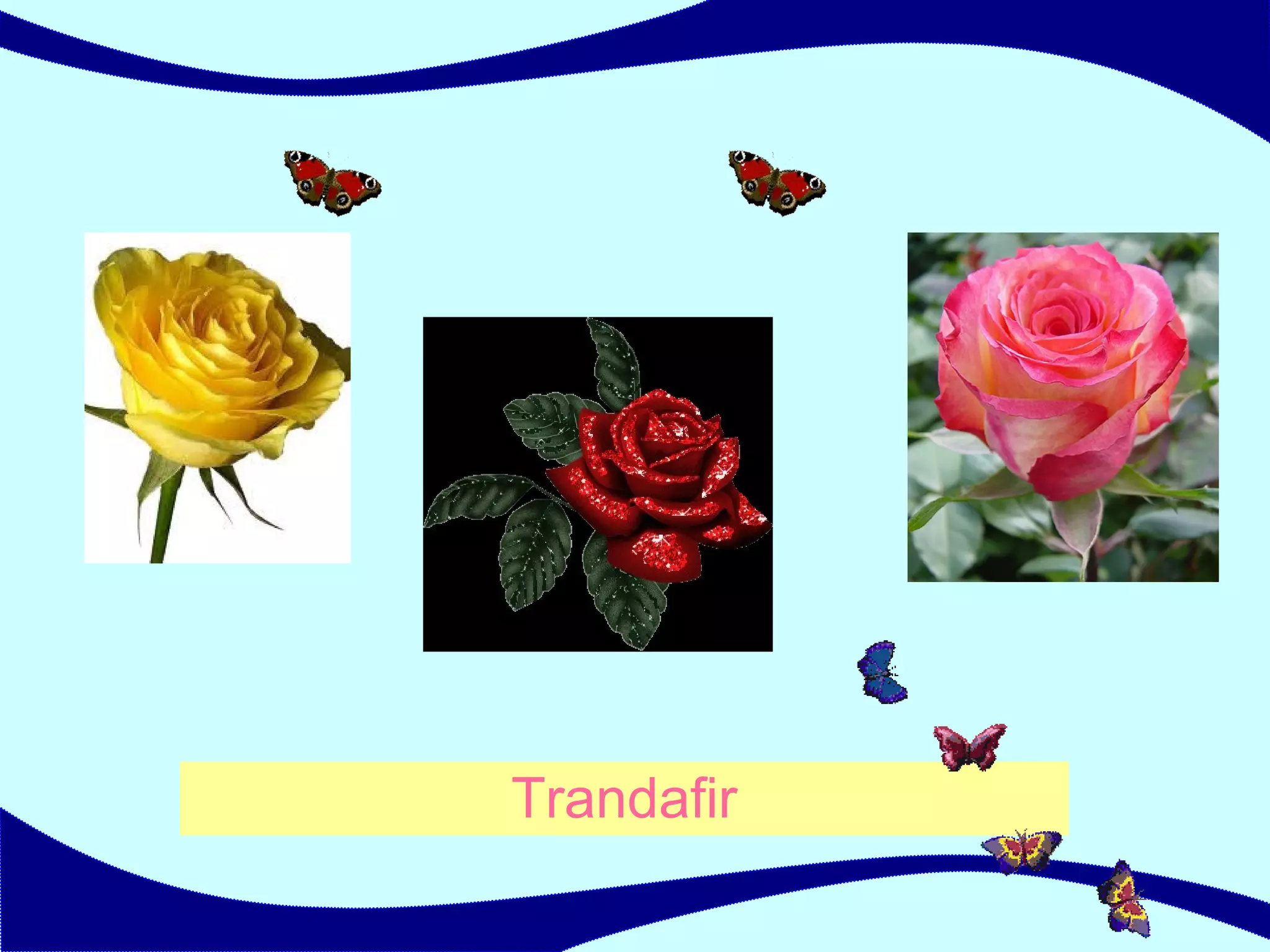 Tipuri de flori | PPT