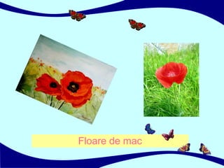 Tipuri de flori | PPT