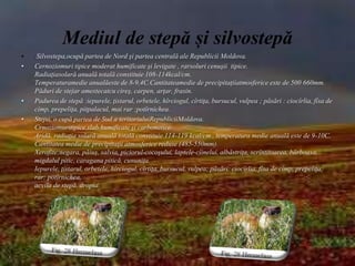 Tipuri de medi geografice | PPTX