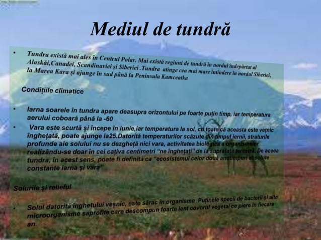 Tipuri de medi geografice | PPTX