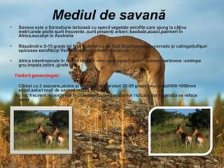 Tipuri de medi geografice | PPTX