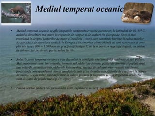 Tipuri de medi geografice | PPTX