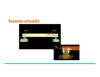 Tipuri de reazem, tipuri de forte din constructii | PDF