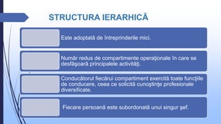 Tipuri de structuri organizatorice | PPTX