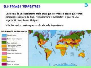 Tipus de ecosistemes terrestres o biomes | PPT