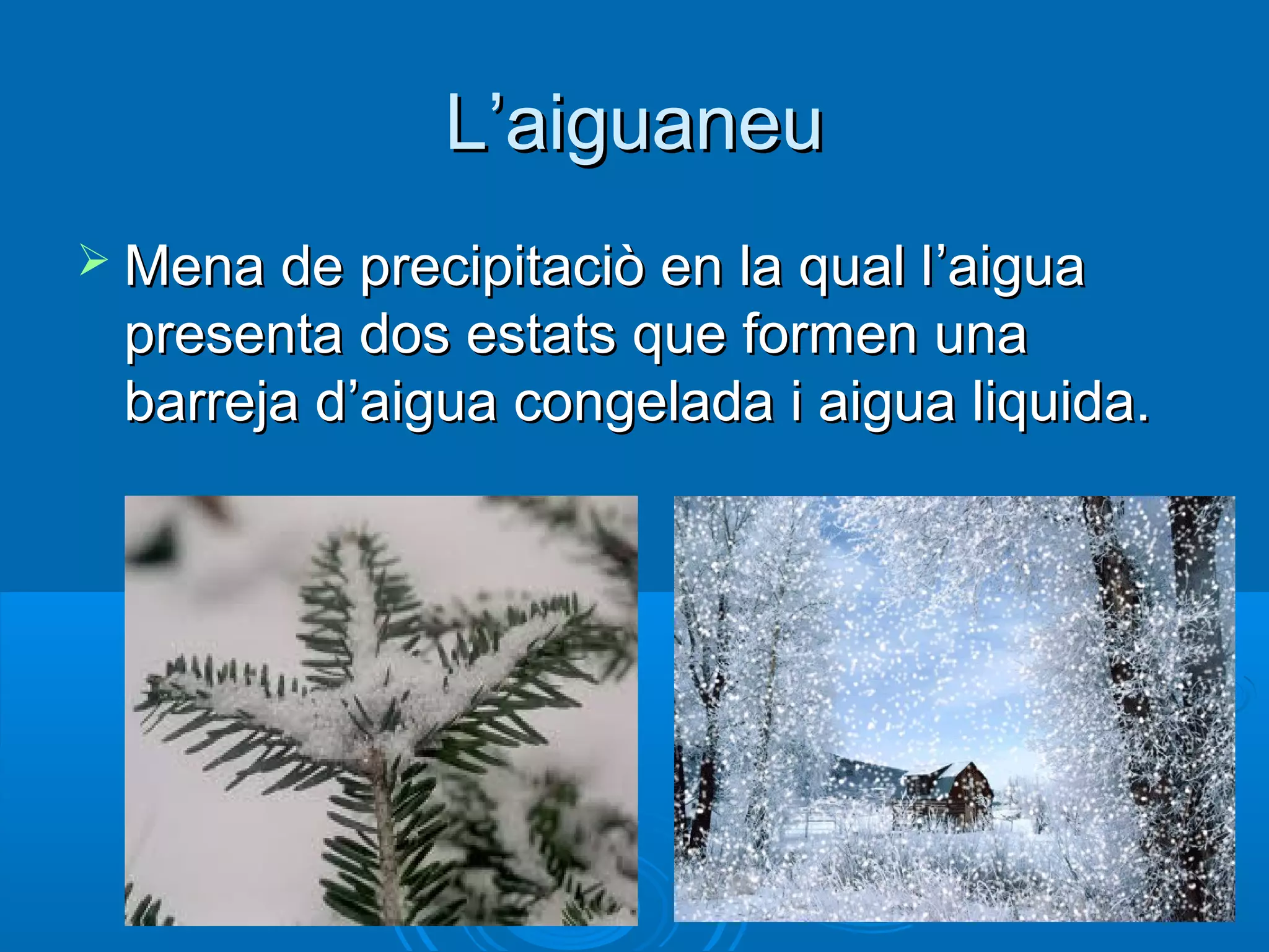 Tipus de precipitacions | PPT