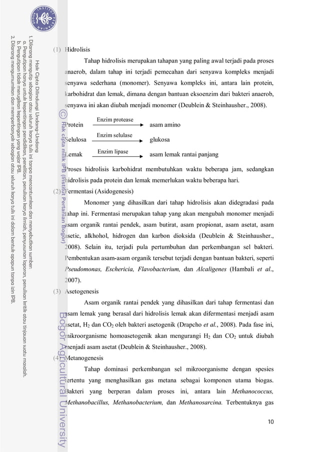 Tipus produksi cpo 3 | PDF