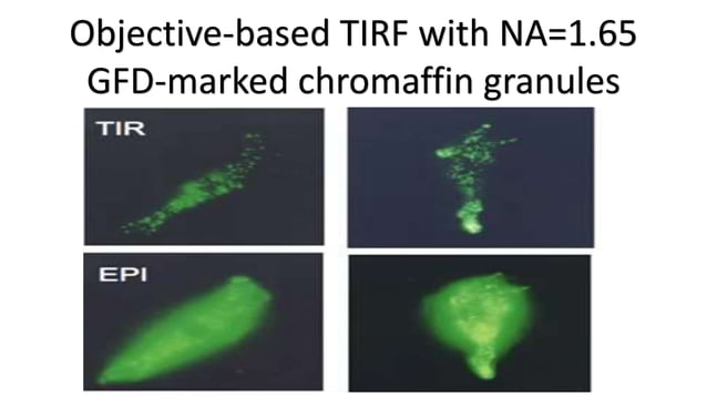 TIRF MICROSCOPE | PPTX | Chemistry | Science