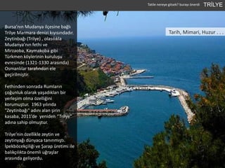 Trilye tatilenereyegitsek | PPTX