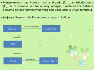 Tiroid | PPTX