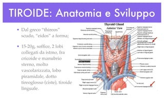 Tiroide | KEY