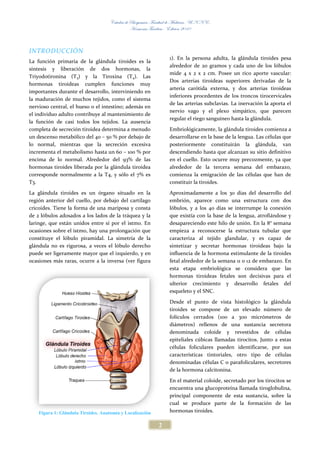 Tiroideas | PDF