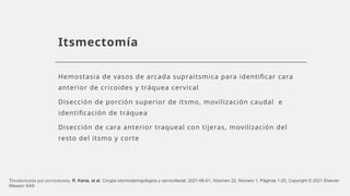 TECNICA QUIRÚRGICA DE TIROIDECTOMÍA POR CERVICOTOMÍA.pptx