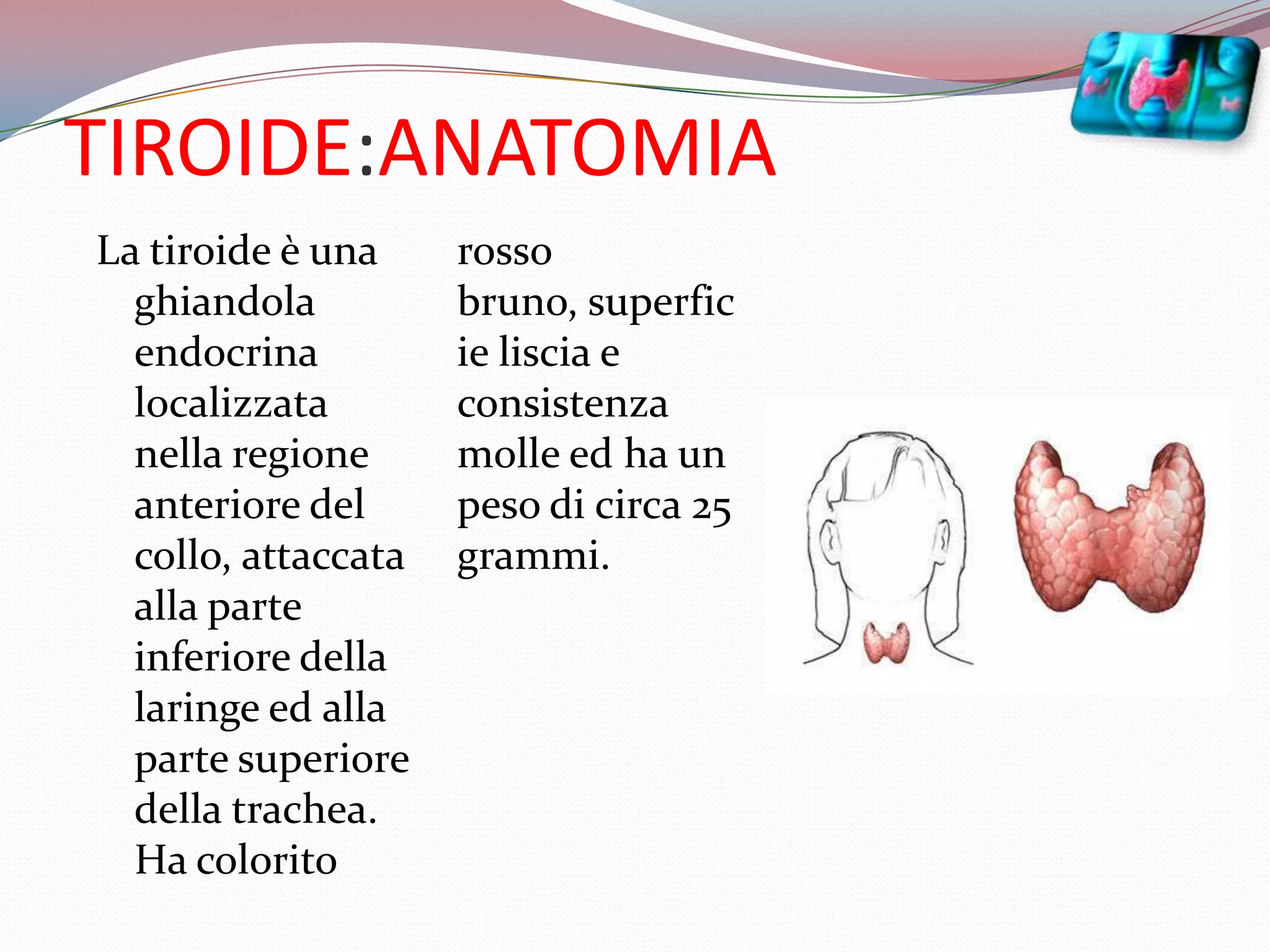Tiroide e paratiroidi | PPTX