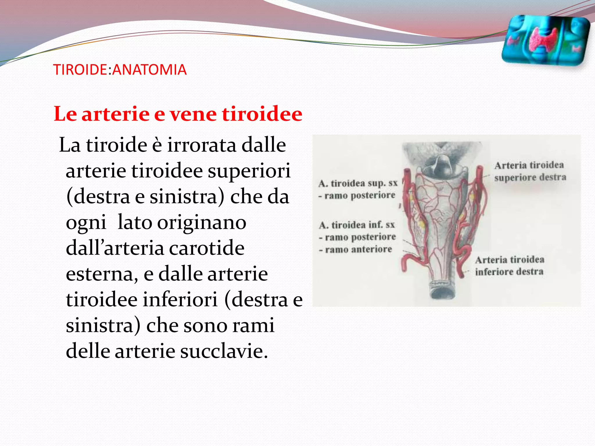 Tiroide e paratiroidi | PPT