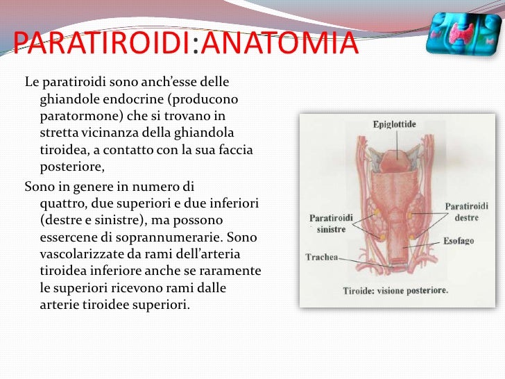 Tiroide e paratiroidi