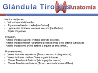 Tiroides | PPTX