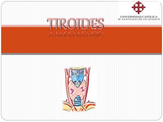 Tiroides: origen y desarrollo embrionario | PPTX