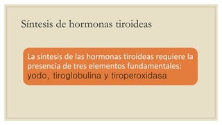 Tiroides introduccion | PPTX