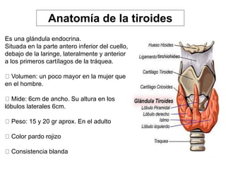 TIROIDES anatomia, fisiologia y otros pptx | PPTX