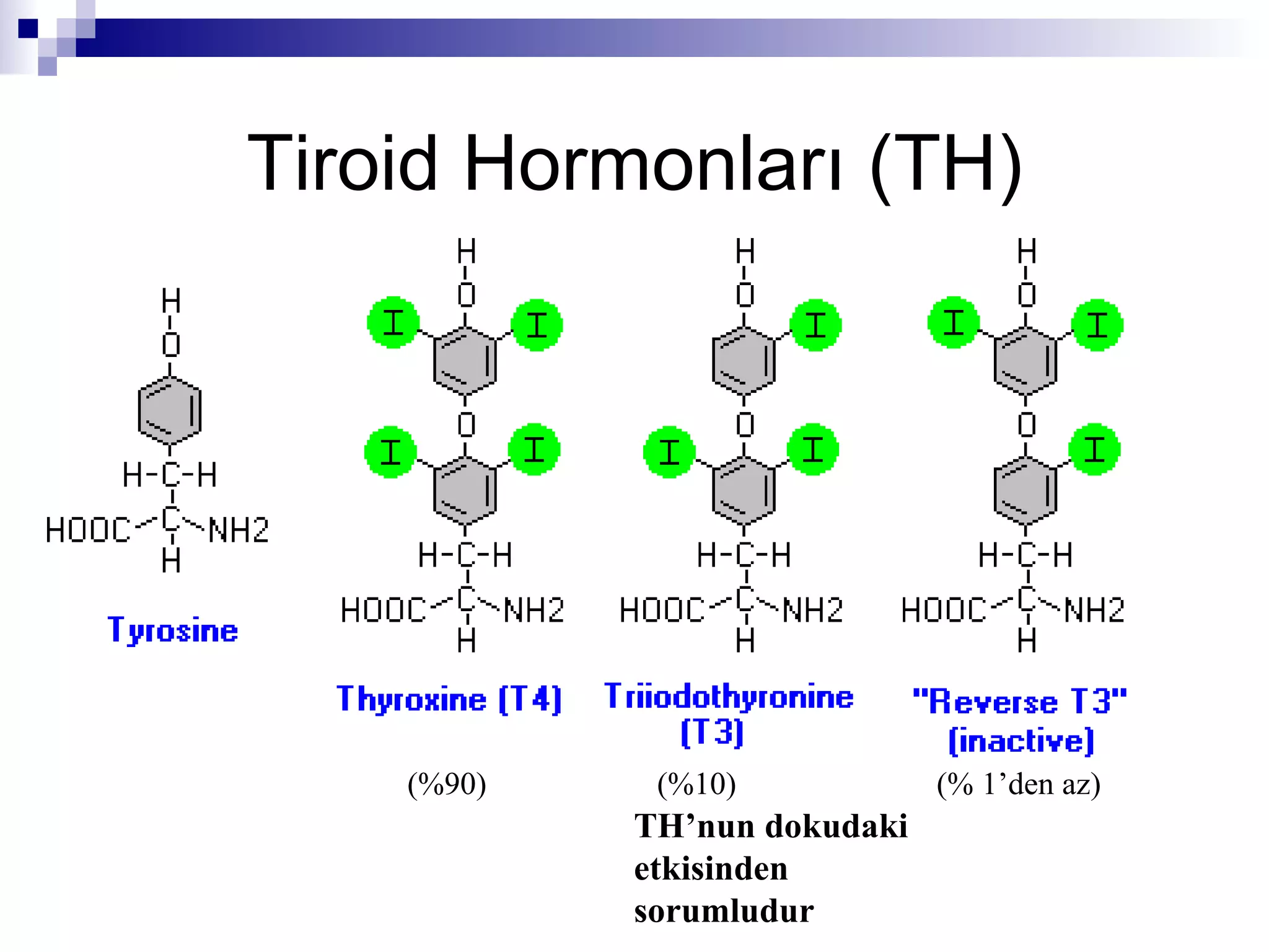 Tiroid fizyolojisi (fazlası için www.tipfakultesi.org ) | PPT