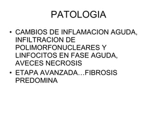 Tiroiditis | PPT