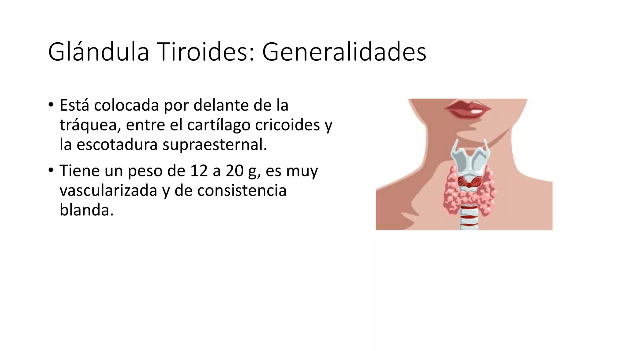 TIROTOXICOSIS Y TORMENTA TIROIDEA.pptx
