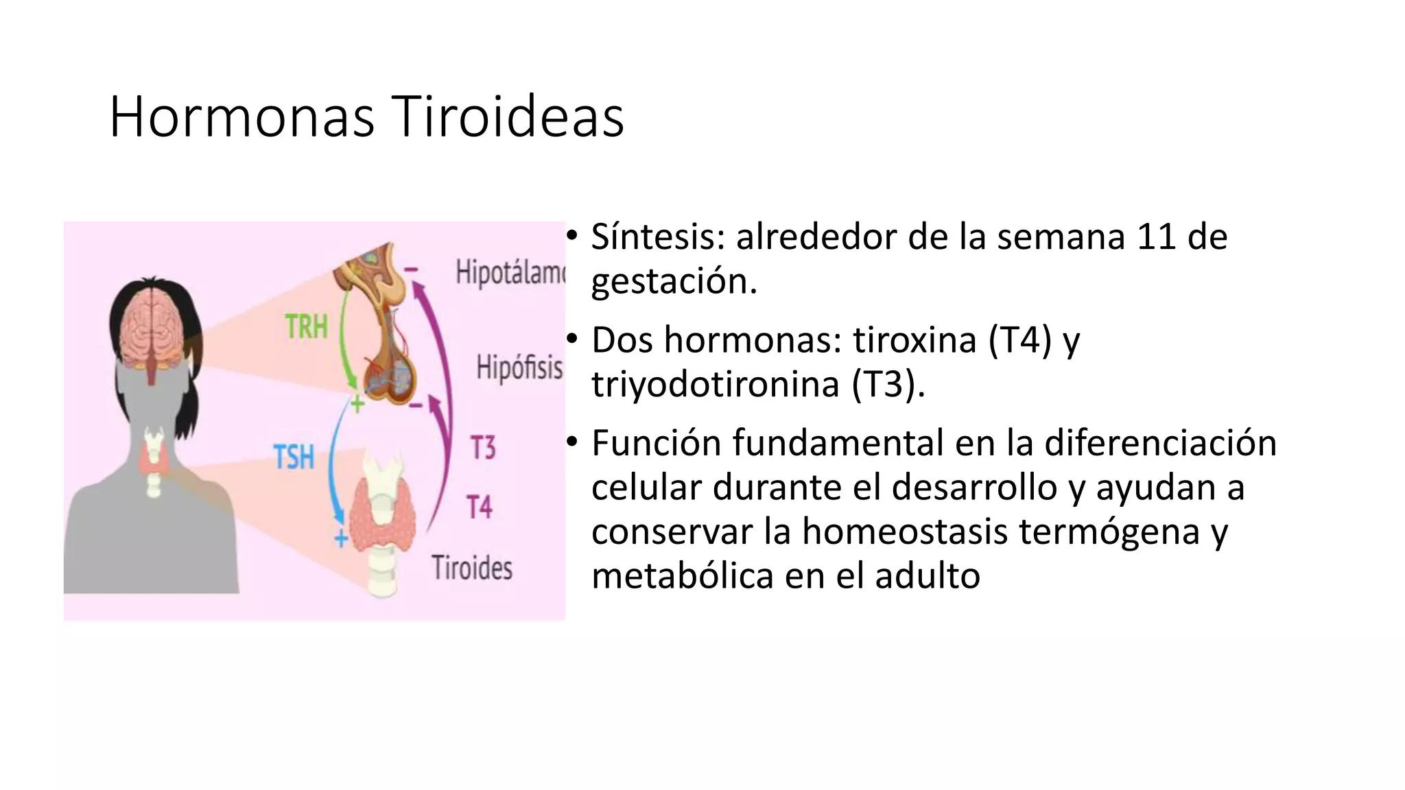 TIROTOXICOSIS Y TORMENTA TIROIDEA.pptx