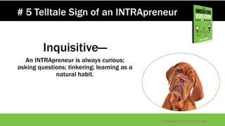 Discover 10 Telltale Signs of an INTRApreneur | PPT